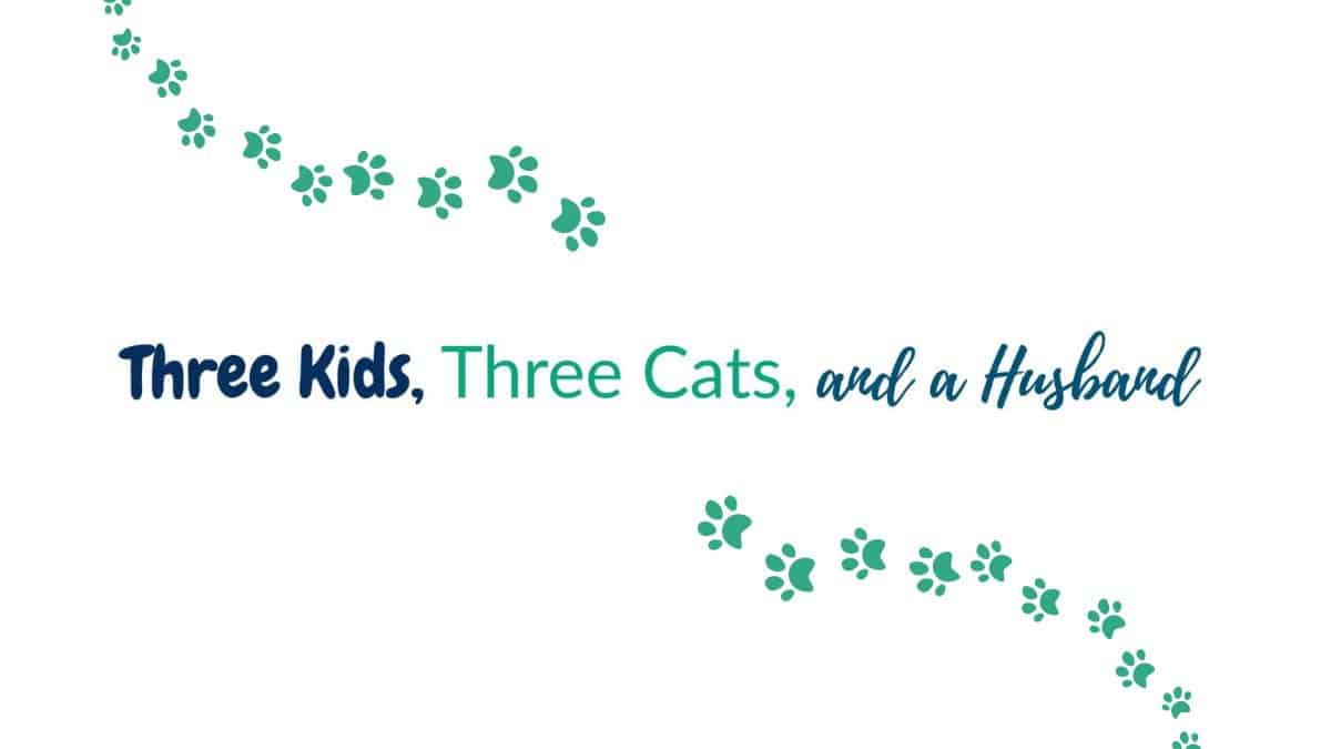 St. Patrick’s Day - Three Kids, Three Cats, and a Husband