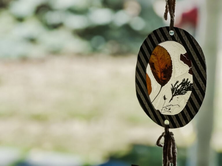 DIY Sun Catcher Craft for Kids: A Fun, Nature-Inspired Project for All ...