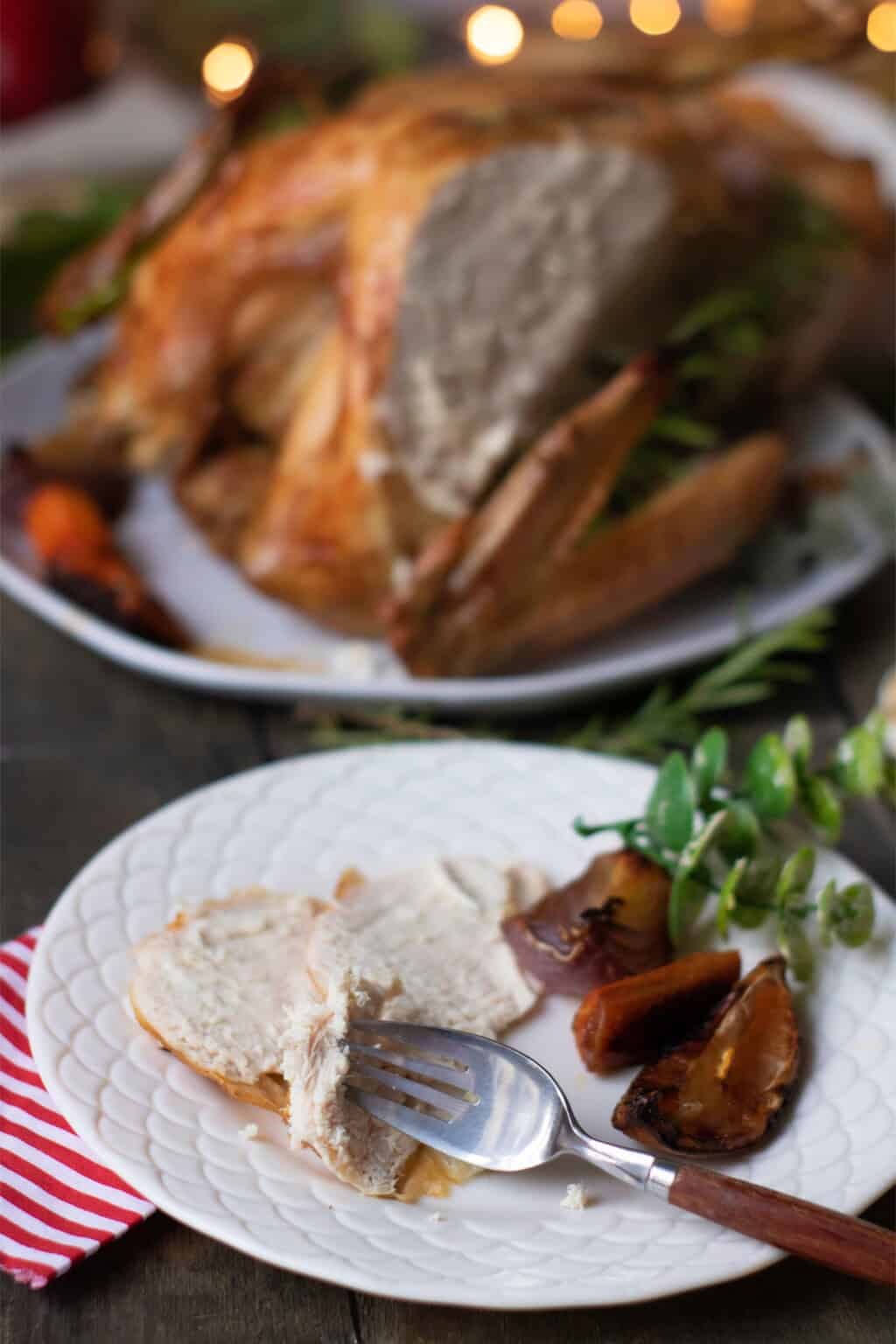 Perfect Roasted Turkey With Vegetables - Three Kids, Three Cats, and a ...