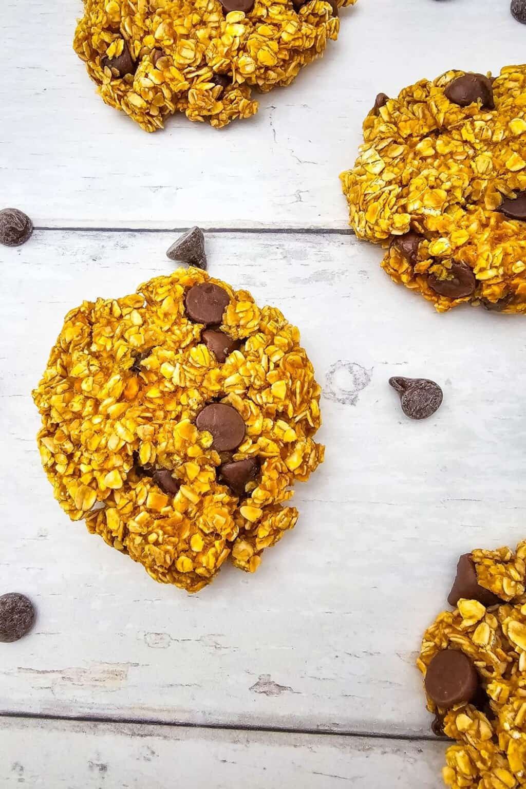 15+ Sweet Fall Treat Recipes to Make at Home - Three Kids, Three Cats ...