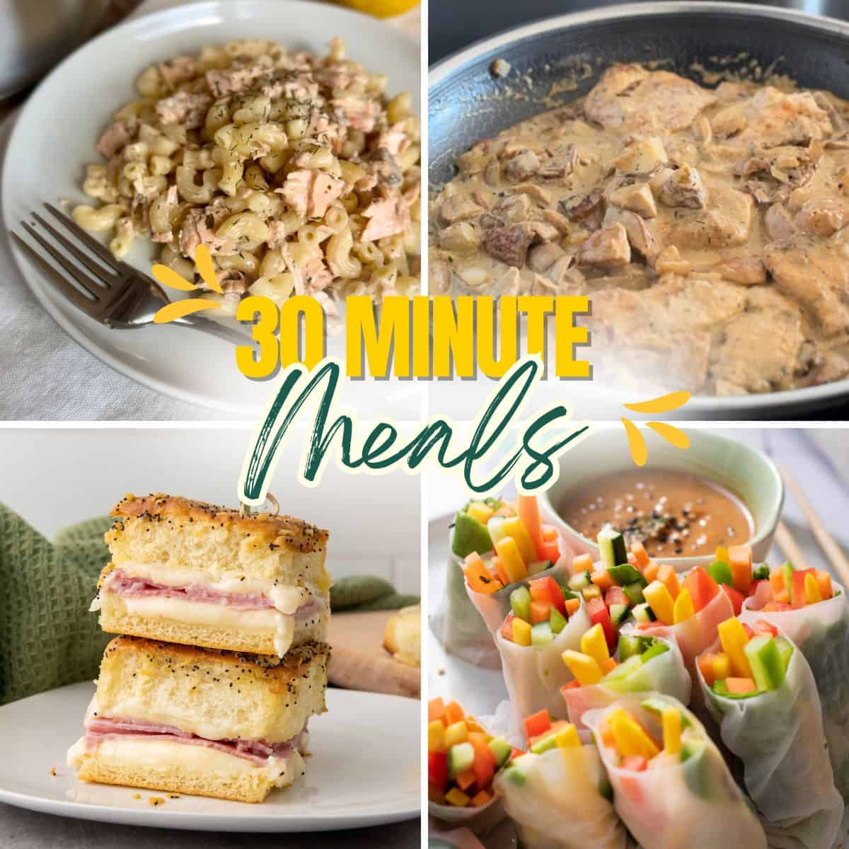 Easy 30 Minute Meals for Busy Days - Three Kids, Three Cats, and a Husband